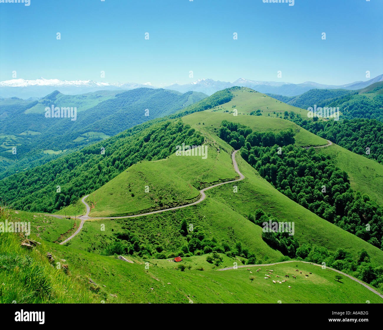 FRANCE AQUITAINE PYRENEES ATLANTIQUES COL D'IRATY Stock Photo - Alamy