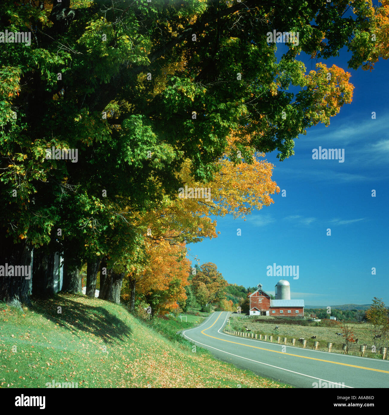 Farm road in upstate New York State Fall foliage Stock Photo - Alamy