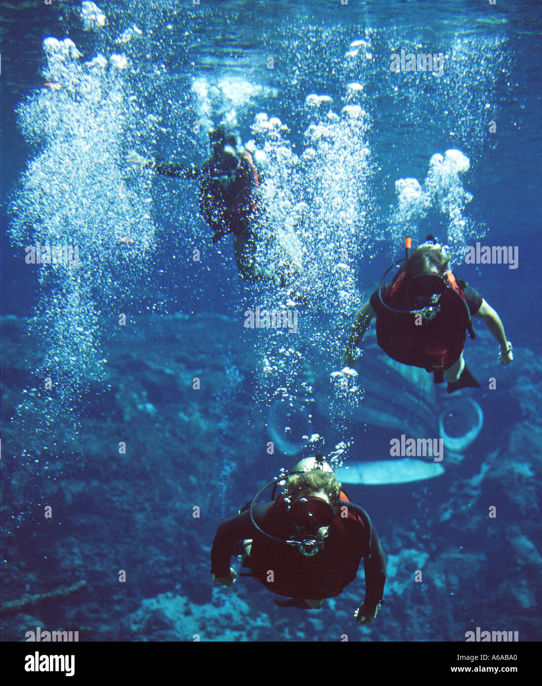 three skin divers exploring spring in Florida Stock Photo - Alamy