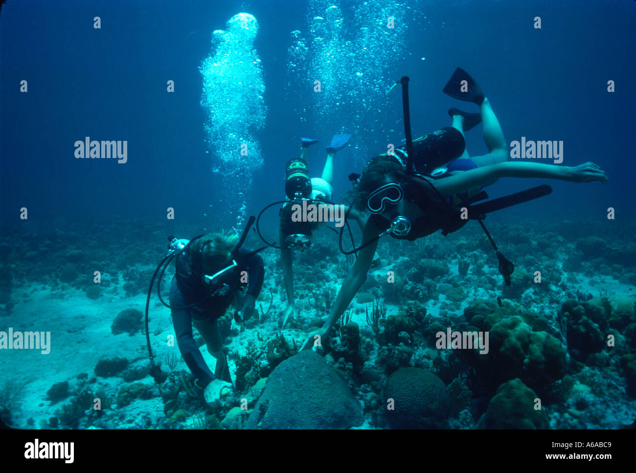three skin divers exploring a Florida spring Stock Photo - Alamy