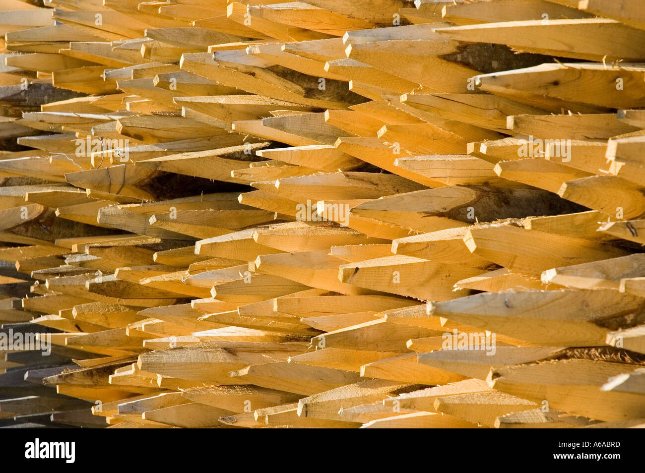 sharpened wooden fence posts duras lot et garonne france europe Stock ...