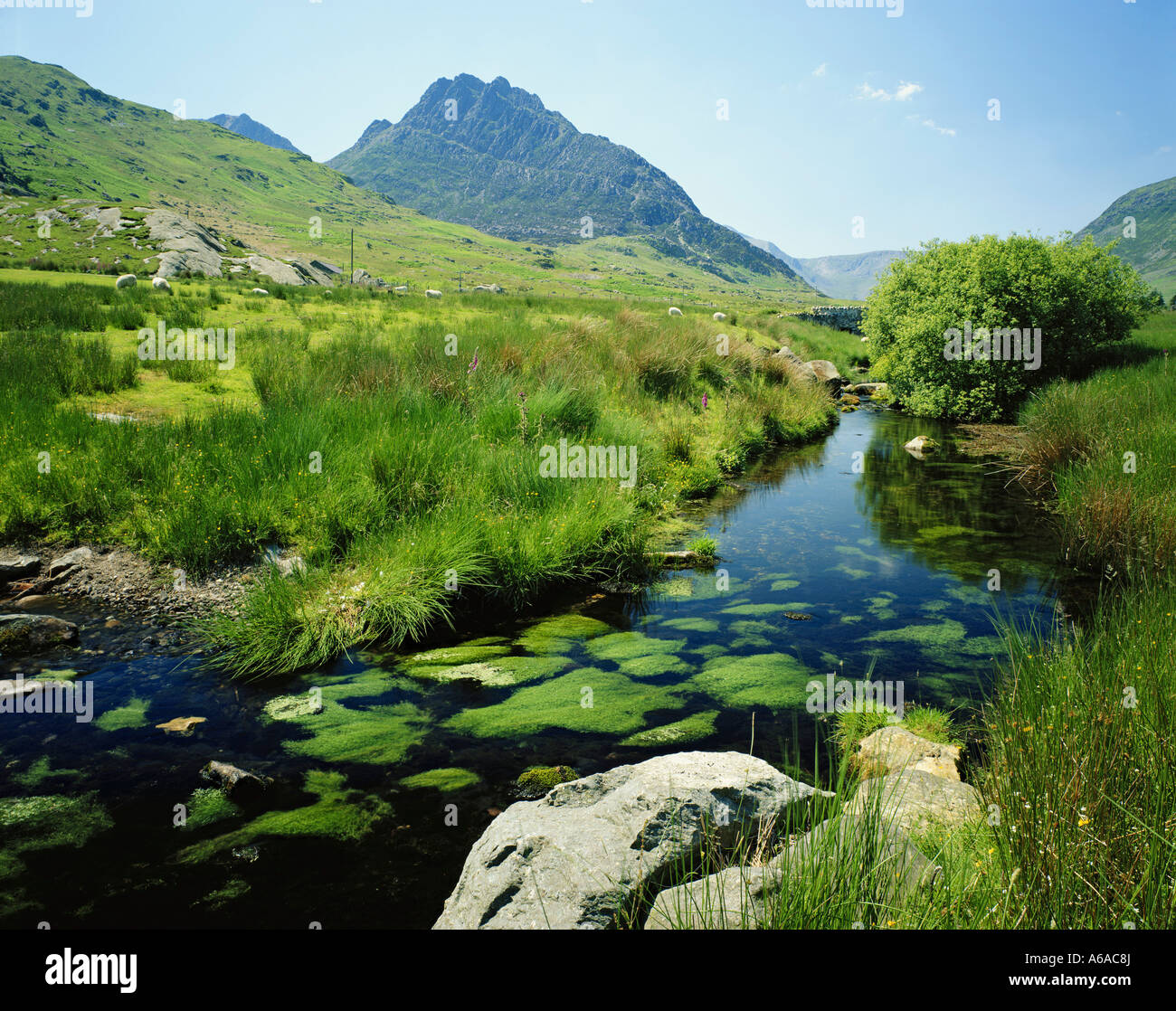 Afon conwy hi-res stock photography and images - Alamy