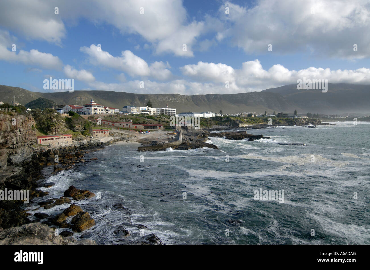 The historic fishing village of Hermanus is now a busy town and world ...