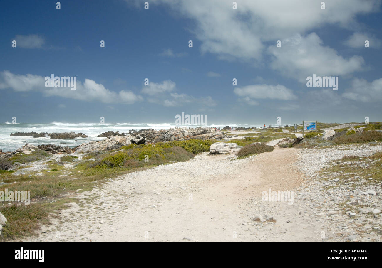 The road to Cape Agulhas and the Altantic Ocean Stock Photo - Alamy