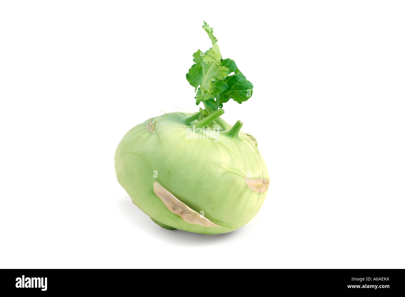 Kohl Rabi on white background Stock Photo - Alamy
