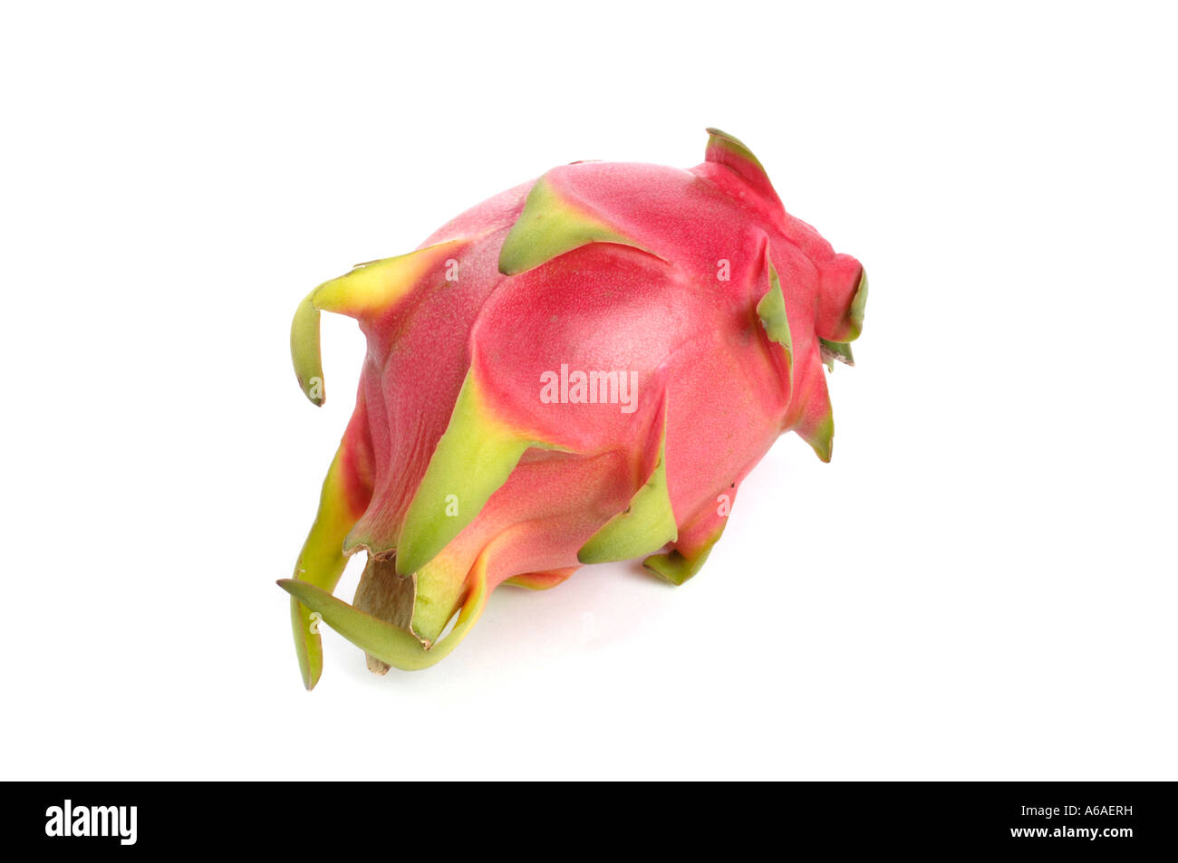 Dragon fruit is a tropical fruit hi-res stock photography and images ...