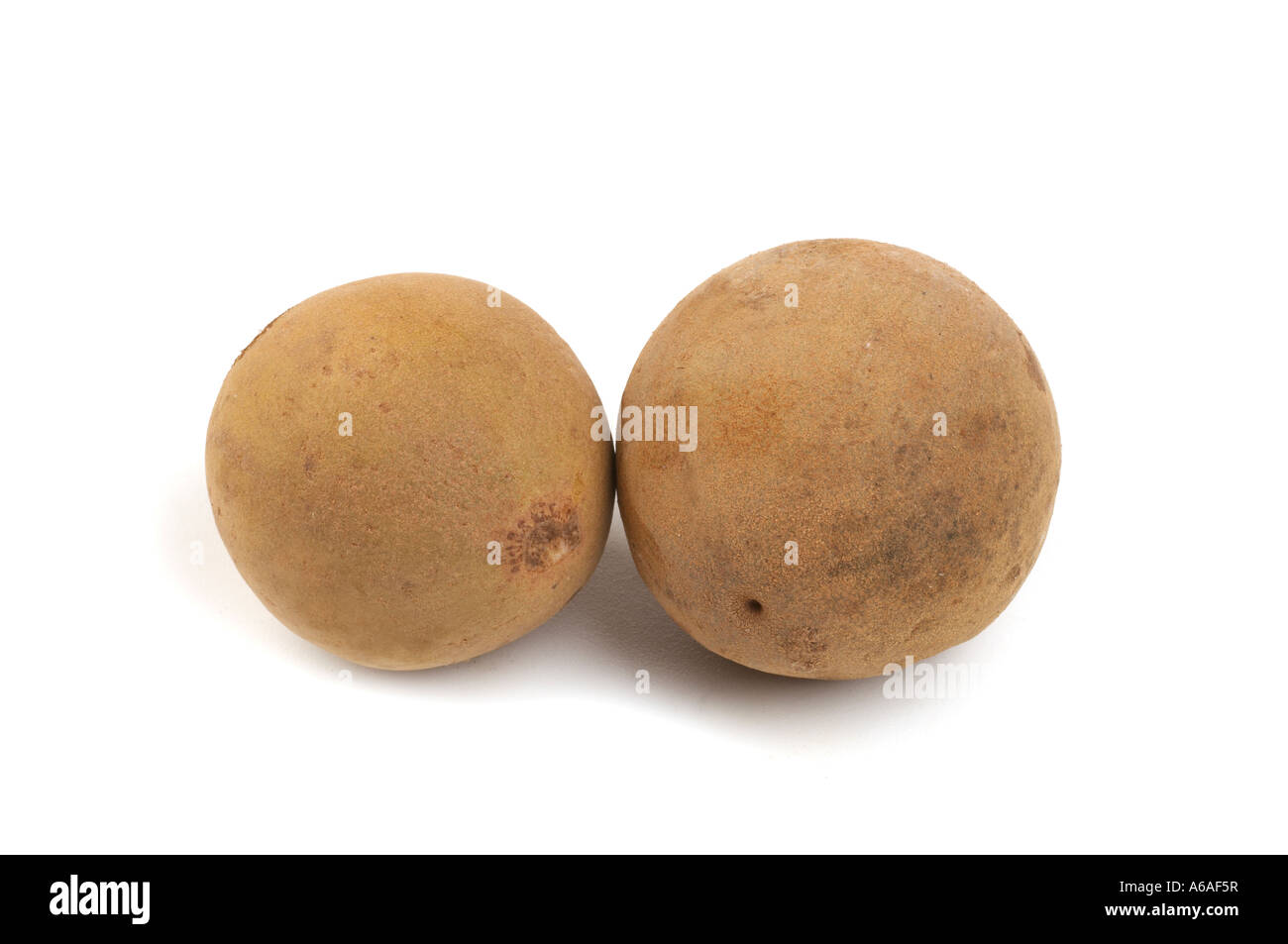 Sapodilla juice hi-res stock photography and images - Alamy