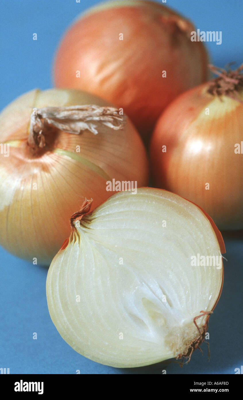 Harvested blue onion hi-res stock photography and images - Alamy