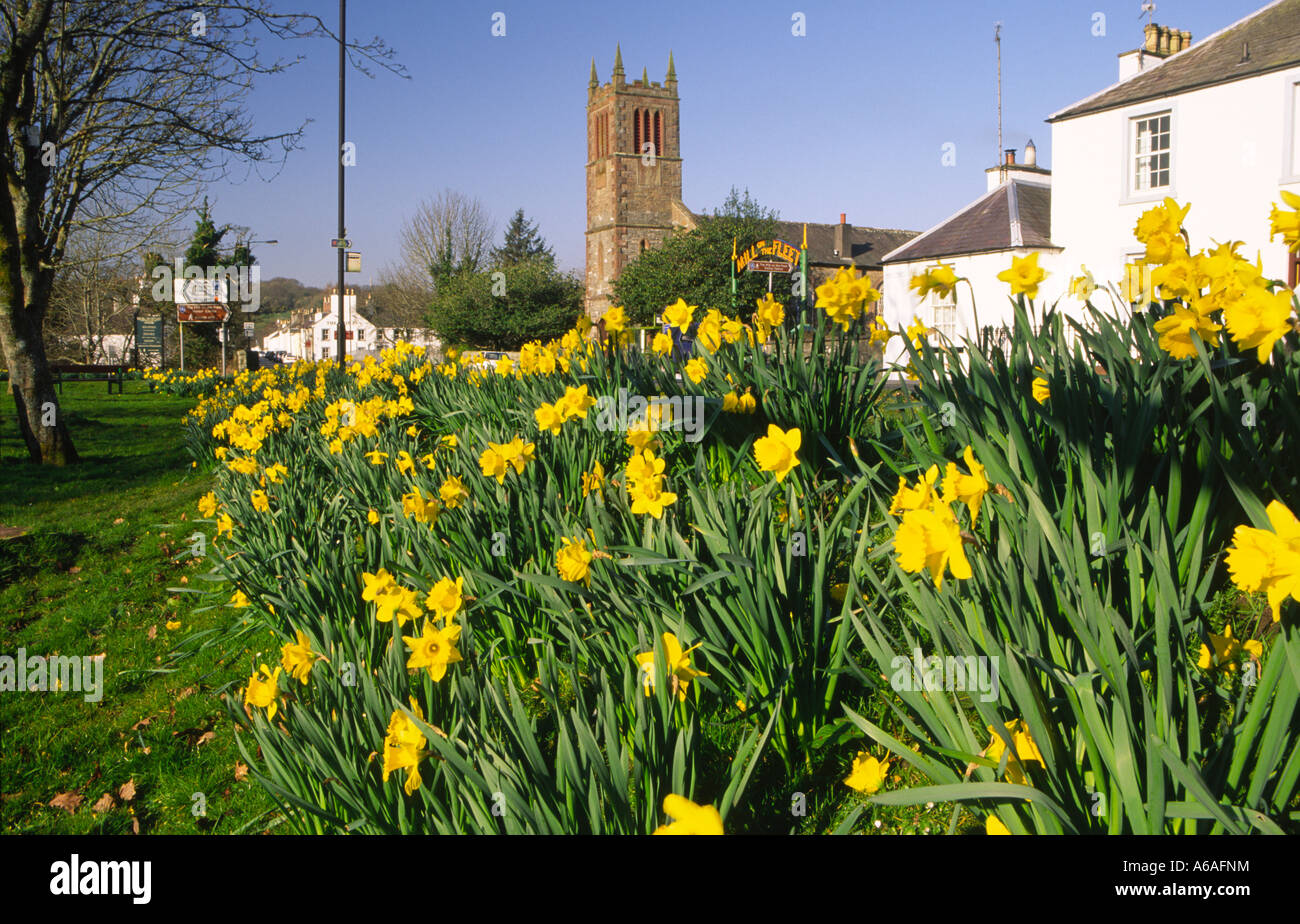 Yellow flowers in scotland hi-res stock photography and images - Alamy
