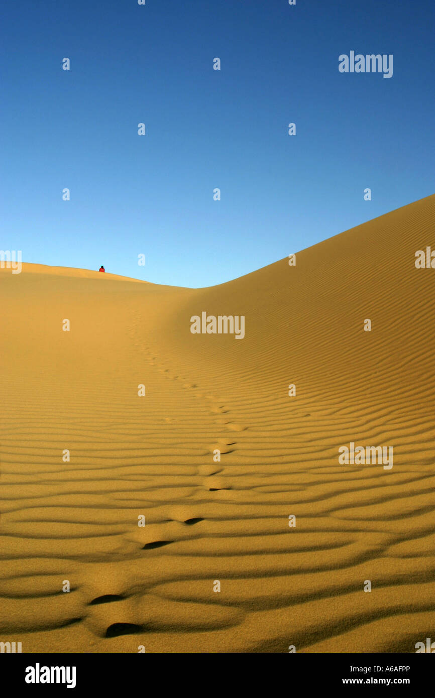 Desert of india hi-res stock photography and images - Alamy