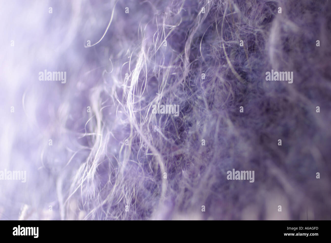 purple and white felted fibers Stock Photo - Alamy