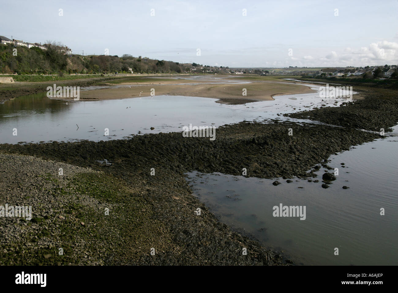 Hayle estuary Cornwall UK Stock Photo - Alamy