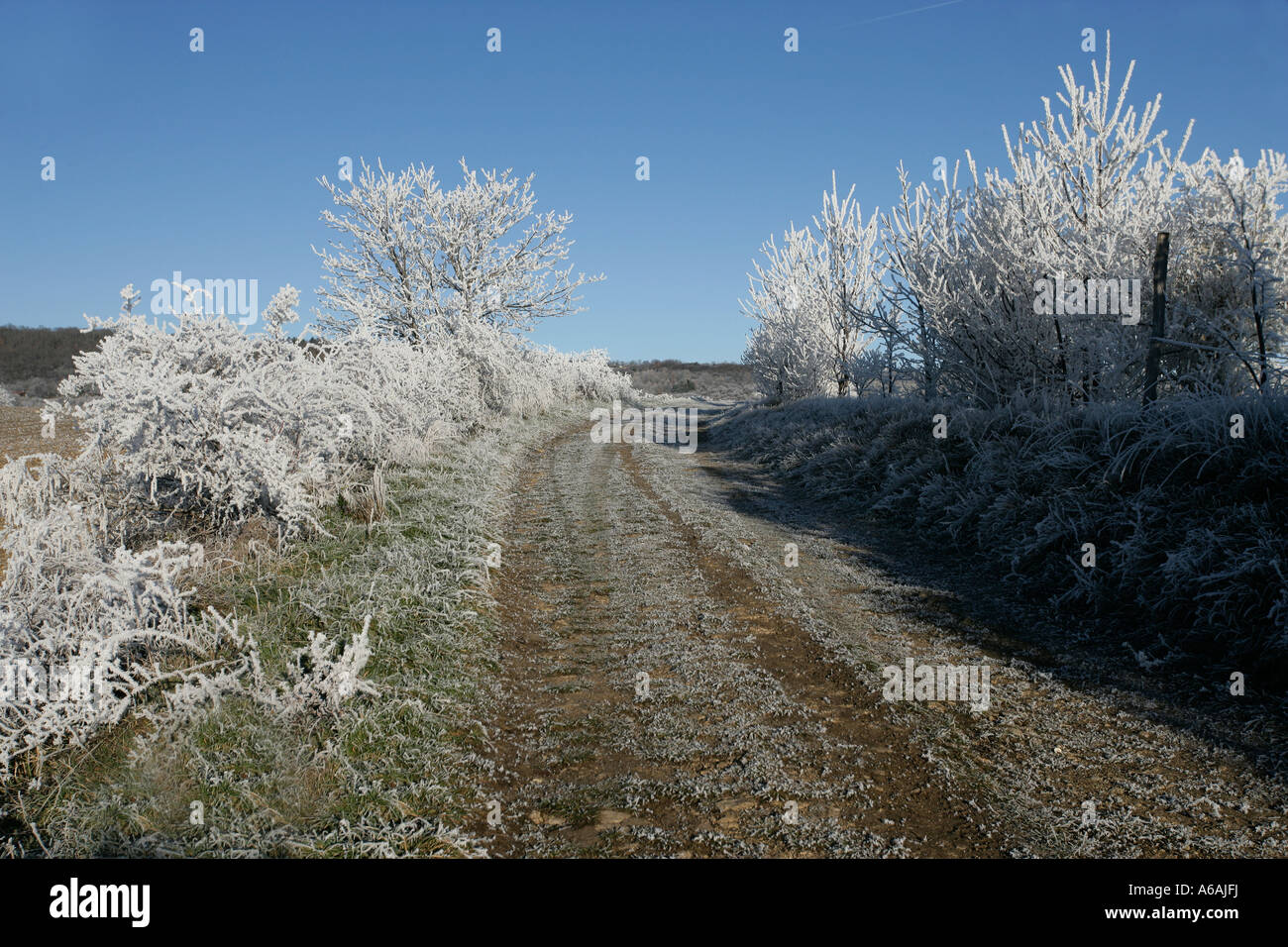 Frost Track Line High Resolution Stock Photography and Images - Alamy