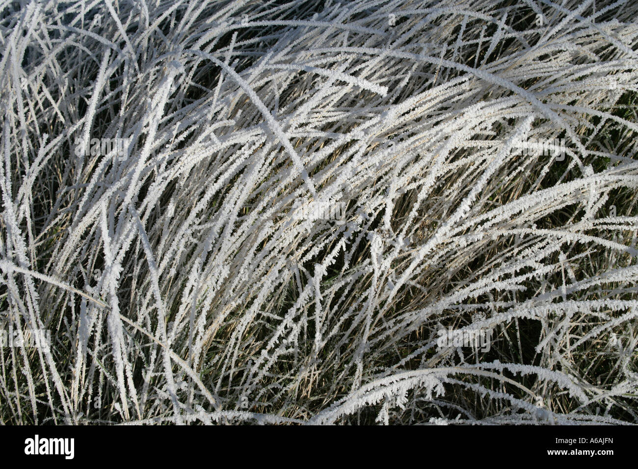 HOAR FROST Central France Stock Photo - Alamy