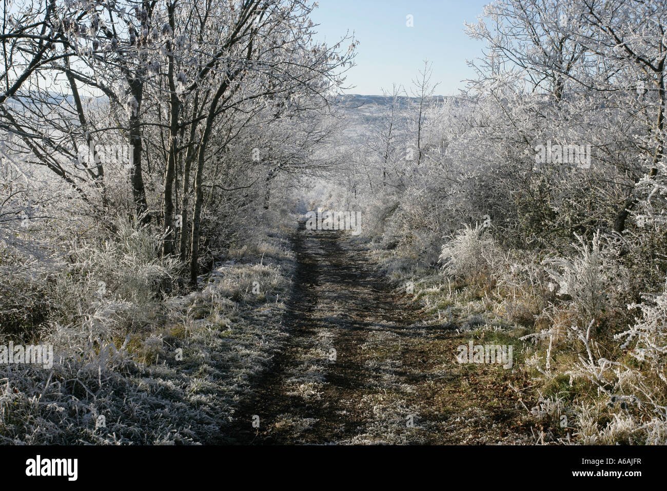 Frost Track Line High Resolution Stock Photography and Images - Alamy