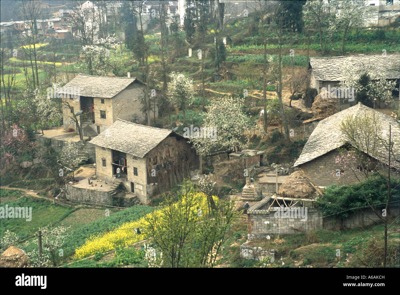 China, Guizhou, Anshun, traditional houses of Bouyi community set on ...