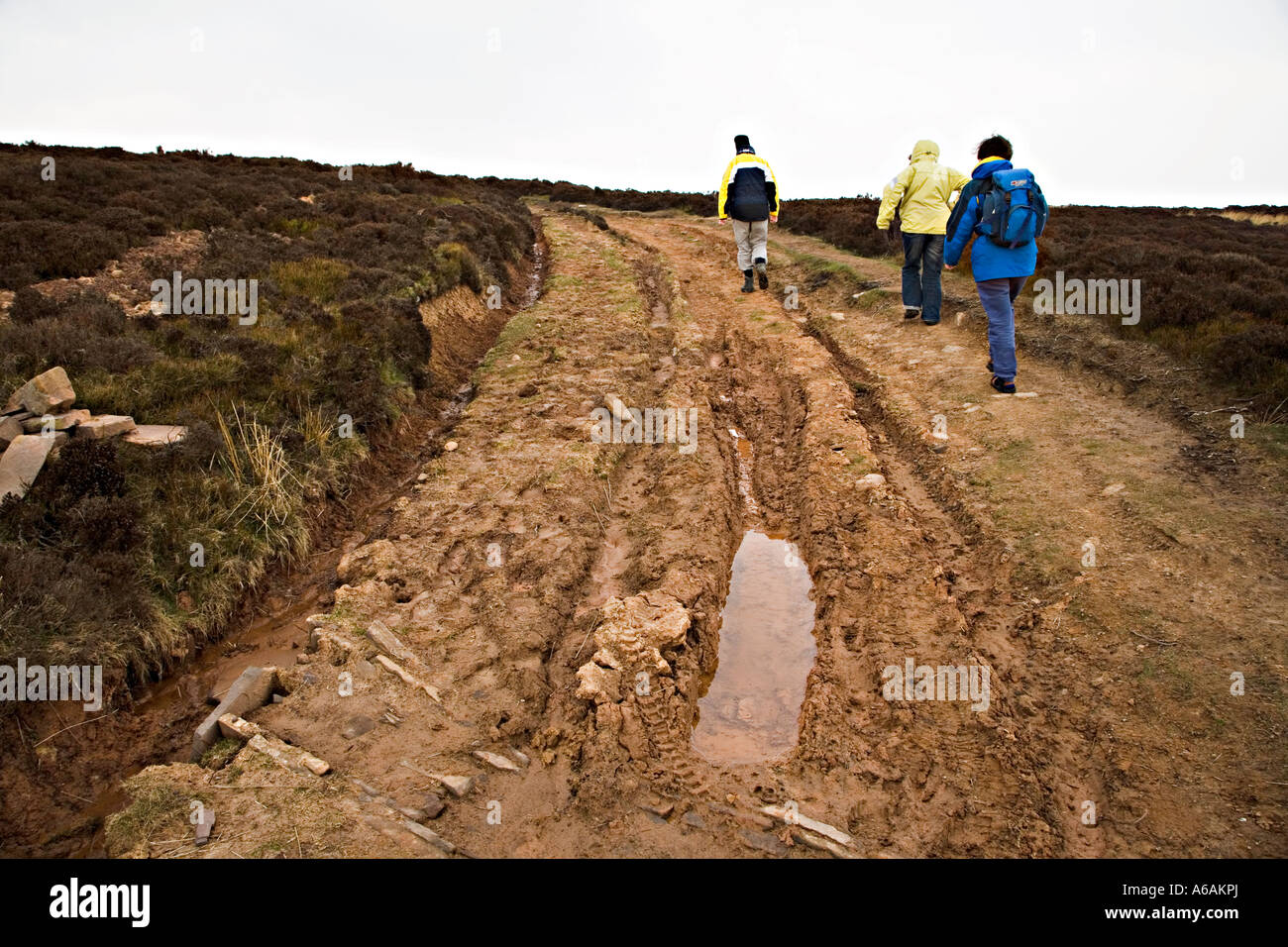 Walkers on footpath track damaged by trail bikes and 4wd vehicles near ...