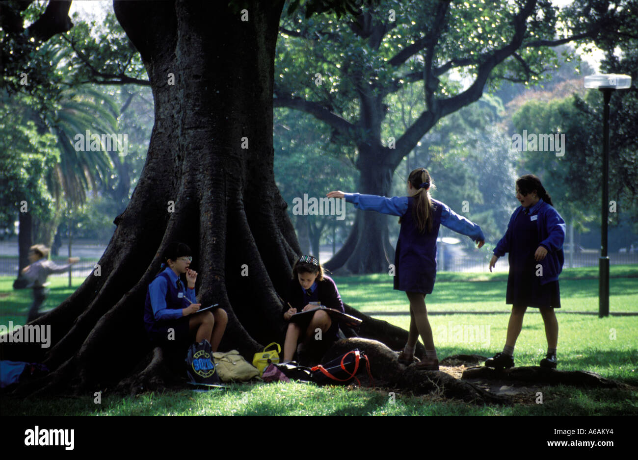 The moreton art gallery hi-res stock photography and images - Alamy