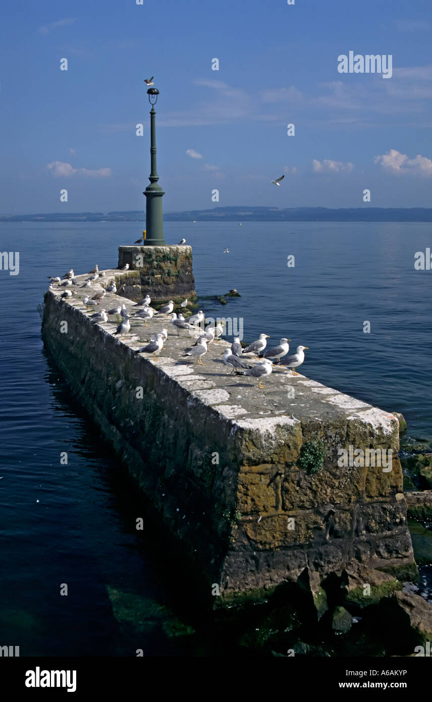 Lac de neuchatel hi-res stock photography and images - Alamy