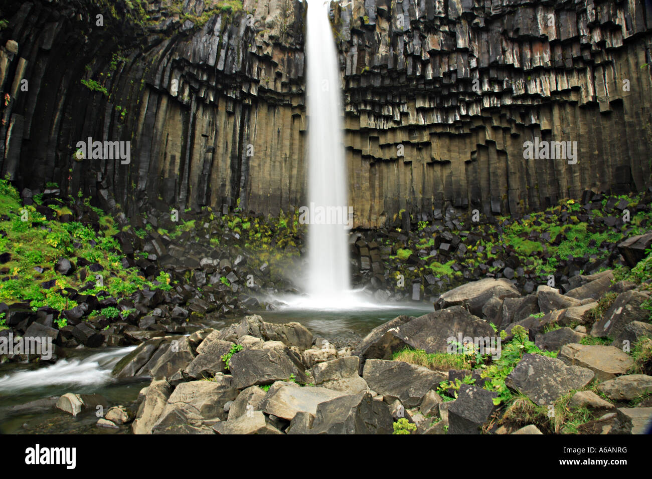 Svartifoss waterfall and basalt columns Iceland Stock Photo - Alamy
