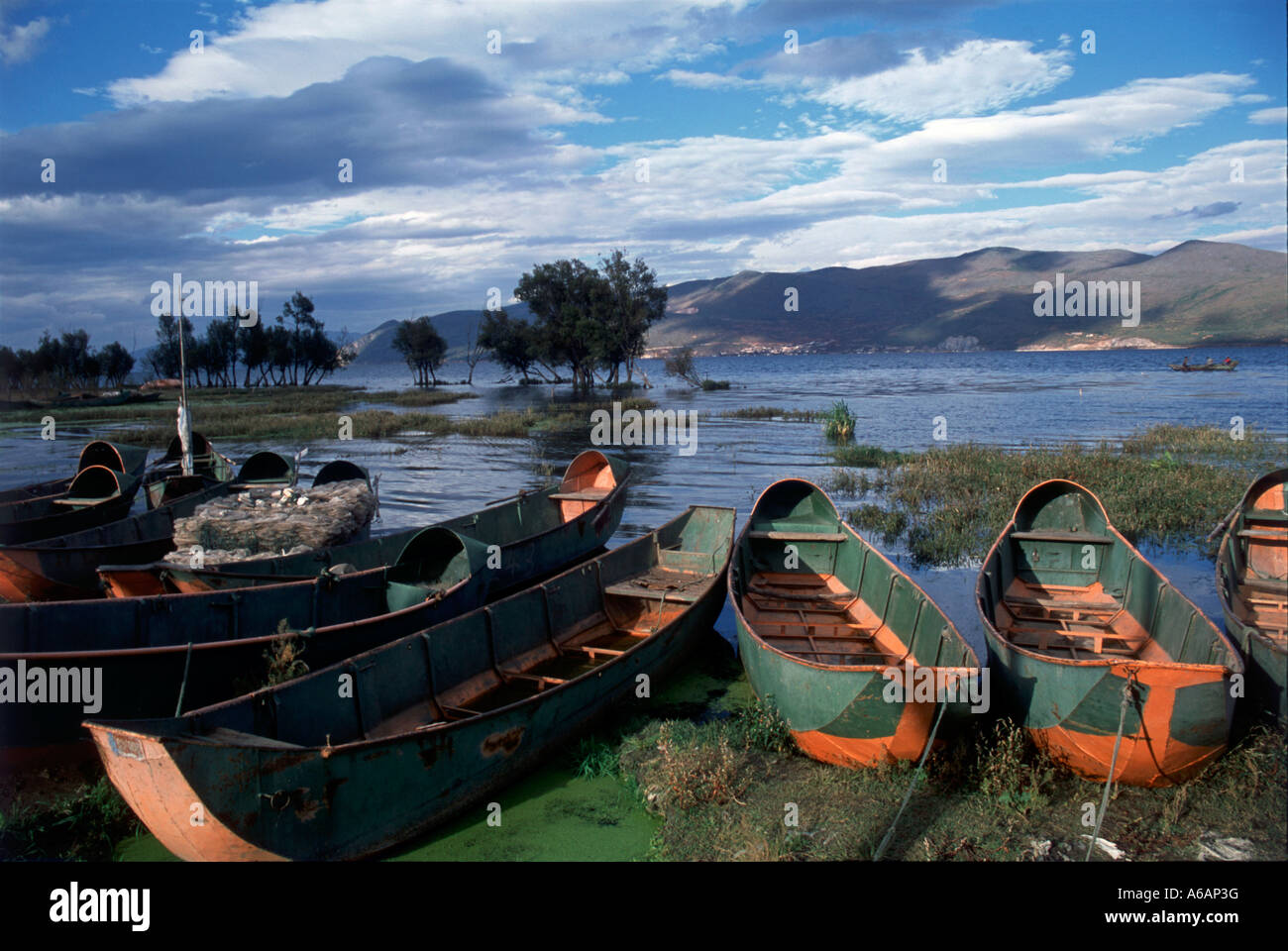 Er hai hi-res stock photography and images - Alamy