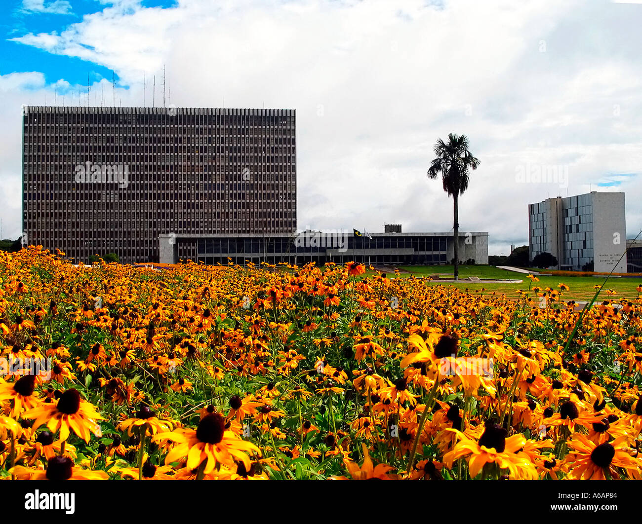 Buriti Square and Palacio do Buriti Stock Photo - Alamy