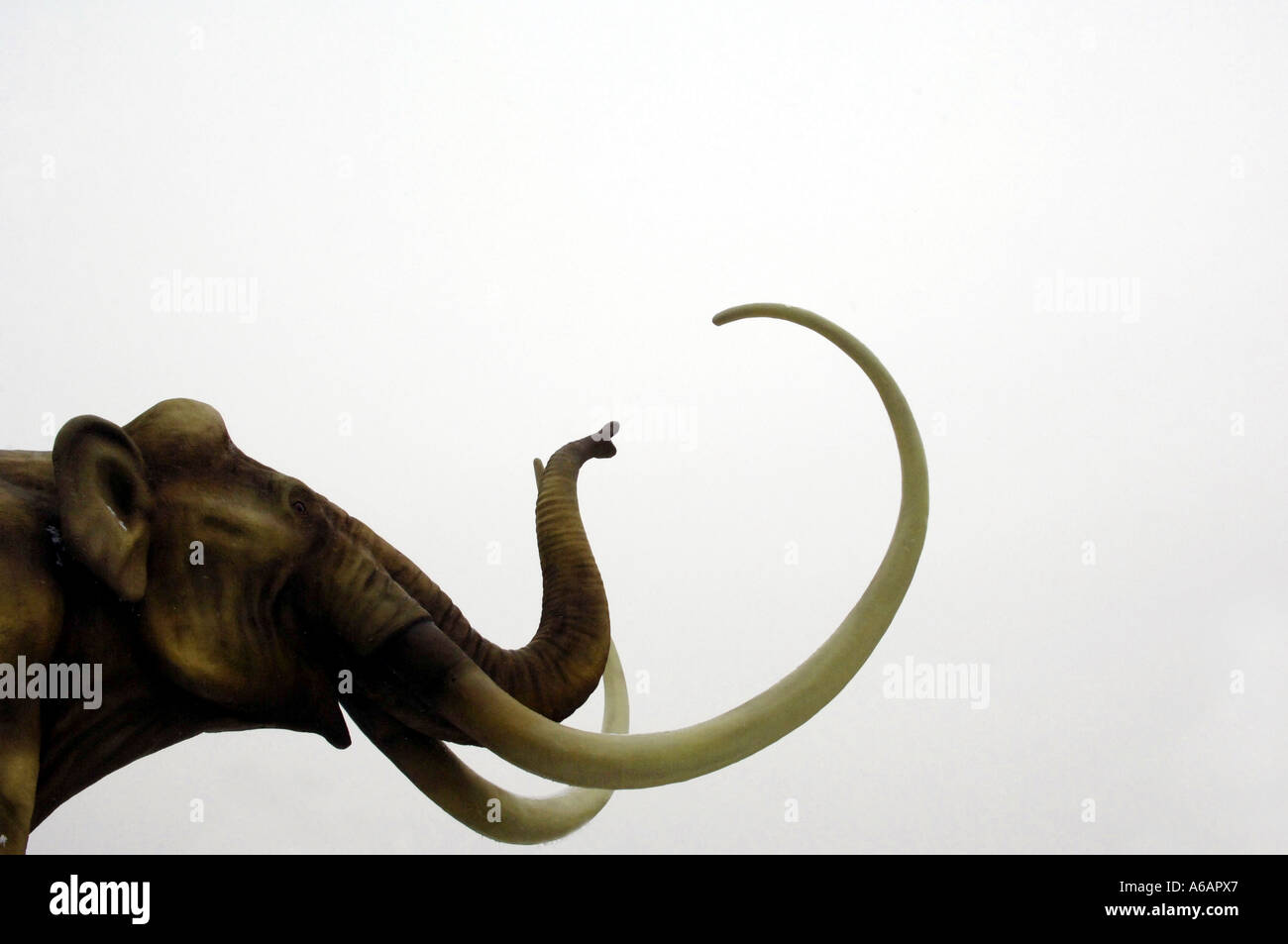 mammoth elephant dinosaur ancient creature prehistoric tusks large ...