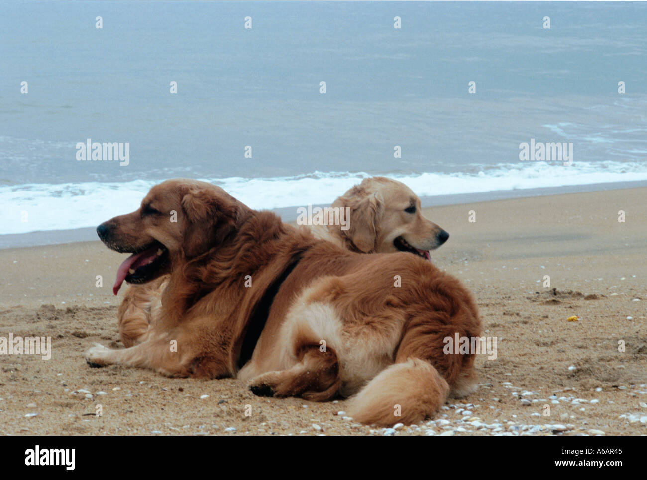 At the beach Stock Photo - Alamy