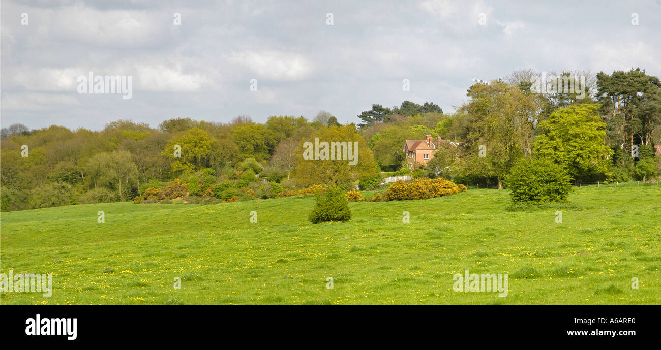 typical english country scene Stock Photo - Alamy