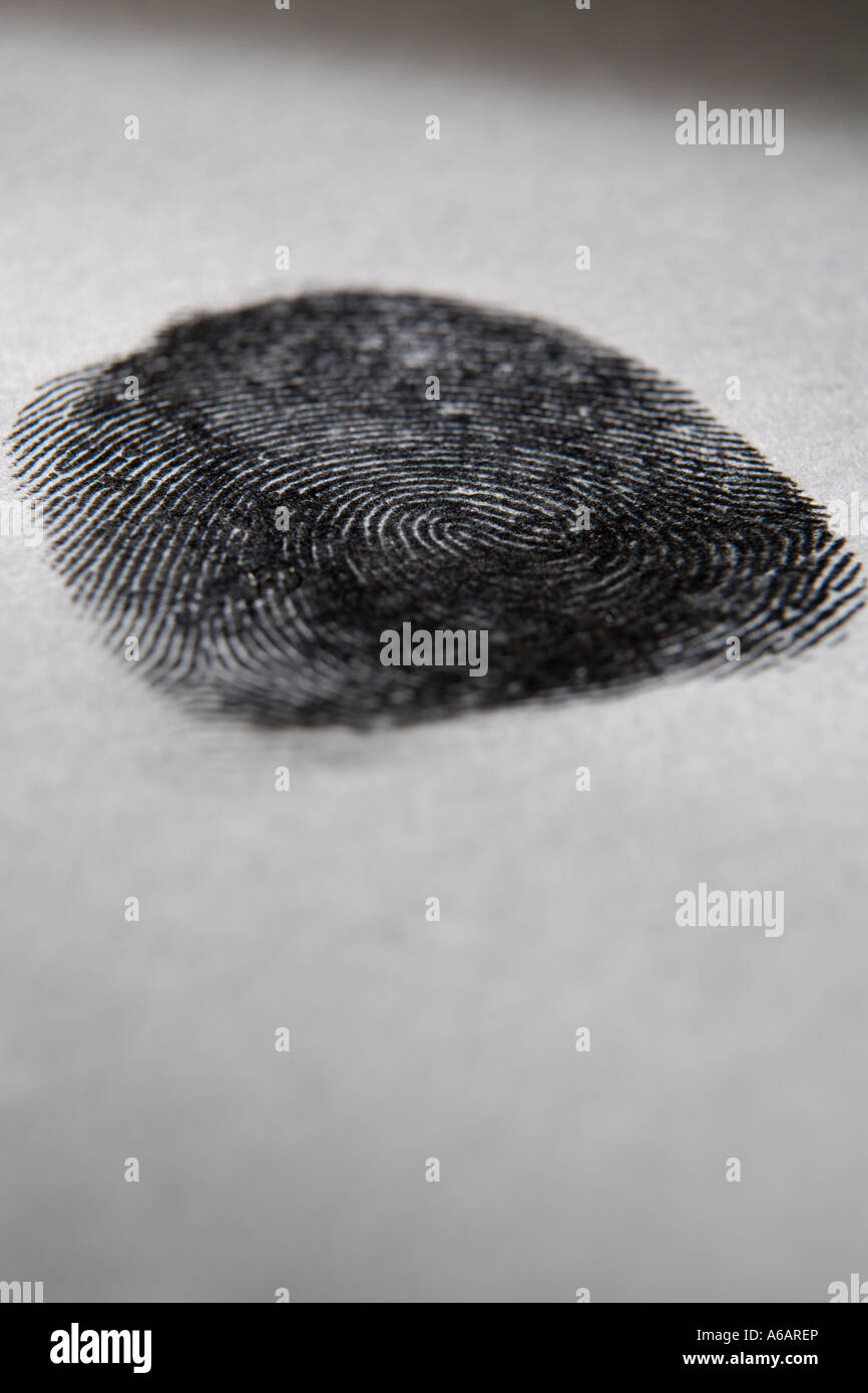 black single fingerprint on a white background Stock Photo - Alamy