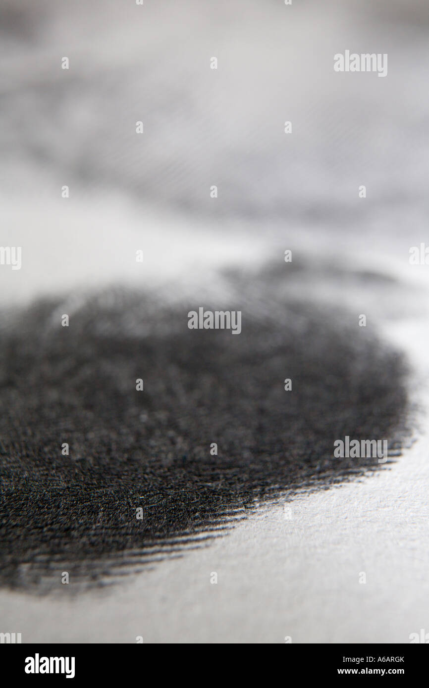 close up print from a big toe Stock Photo - Alamy