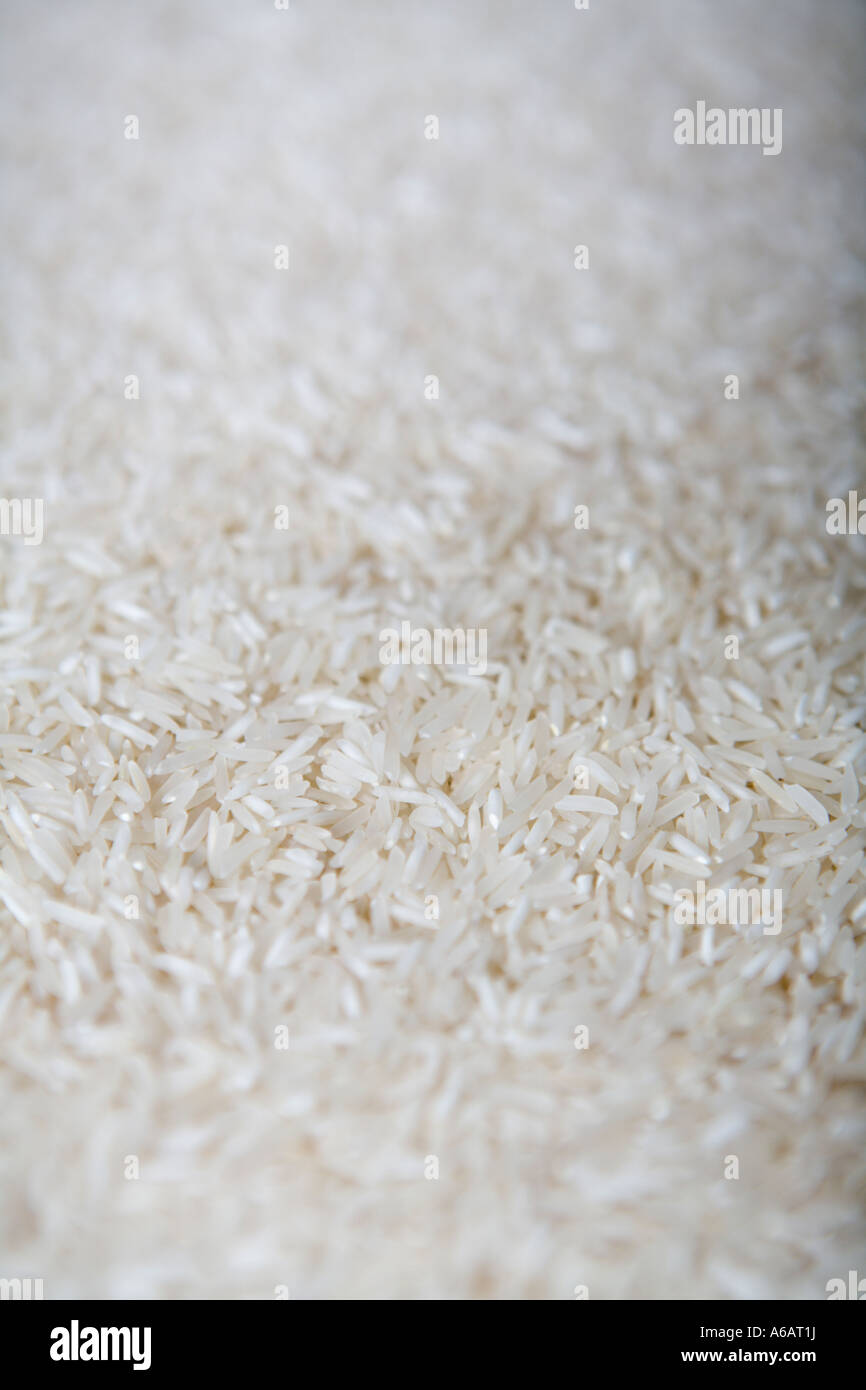lots of rice Stock Photo - Alamy