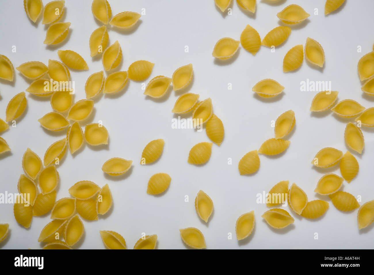flat bed lot of pasta shells, short-cut grooved pasta Stock Photo - Alamy