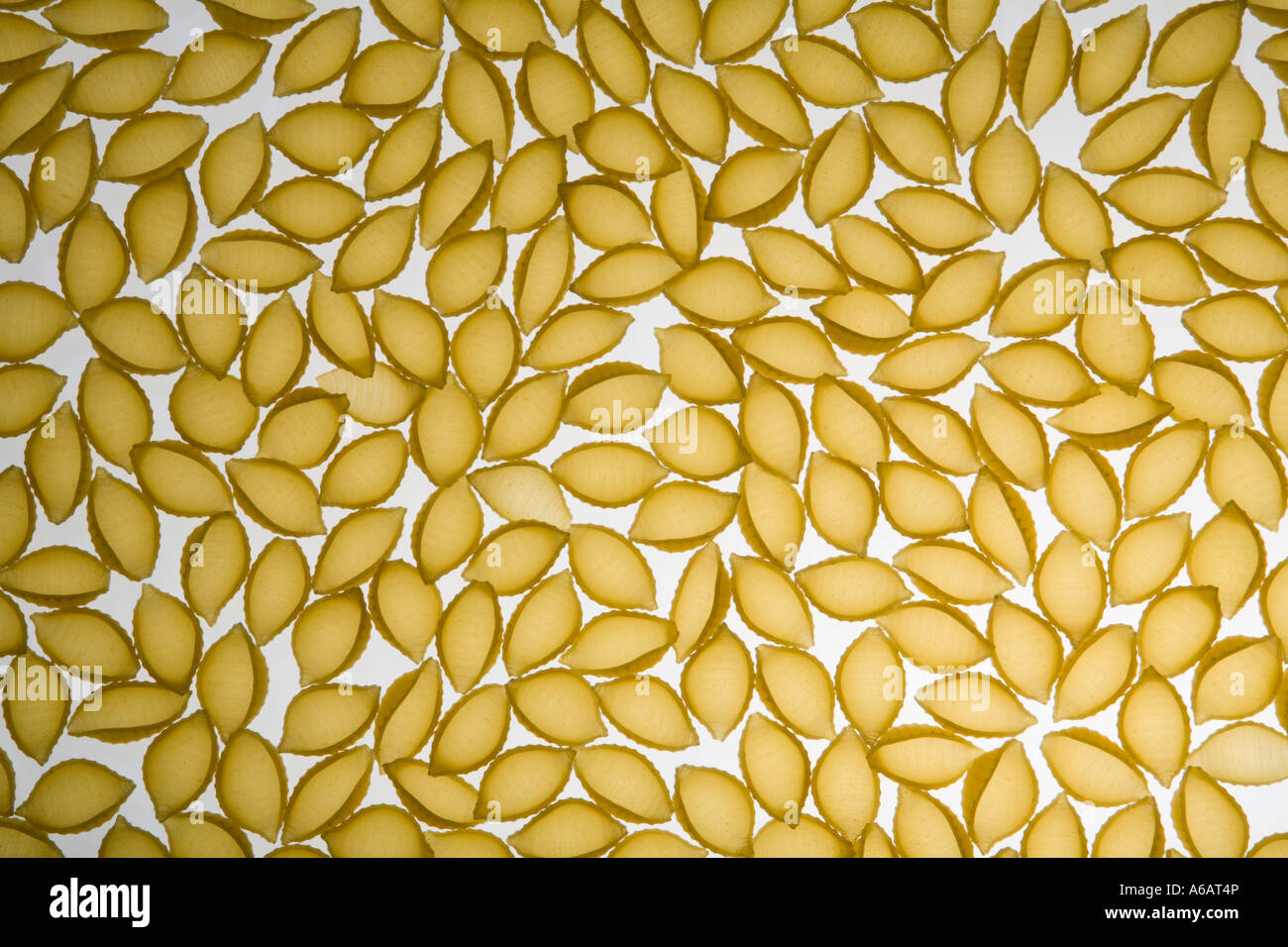 flat bed lot of pasta shells, short-cut grooved pasta Stock Photo - Alamy