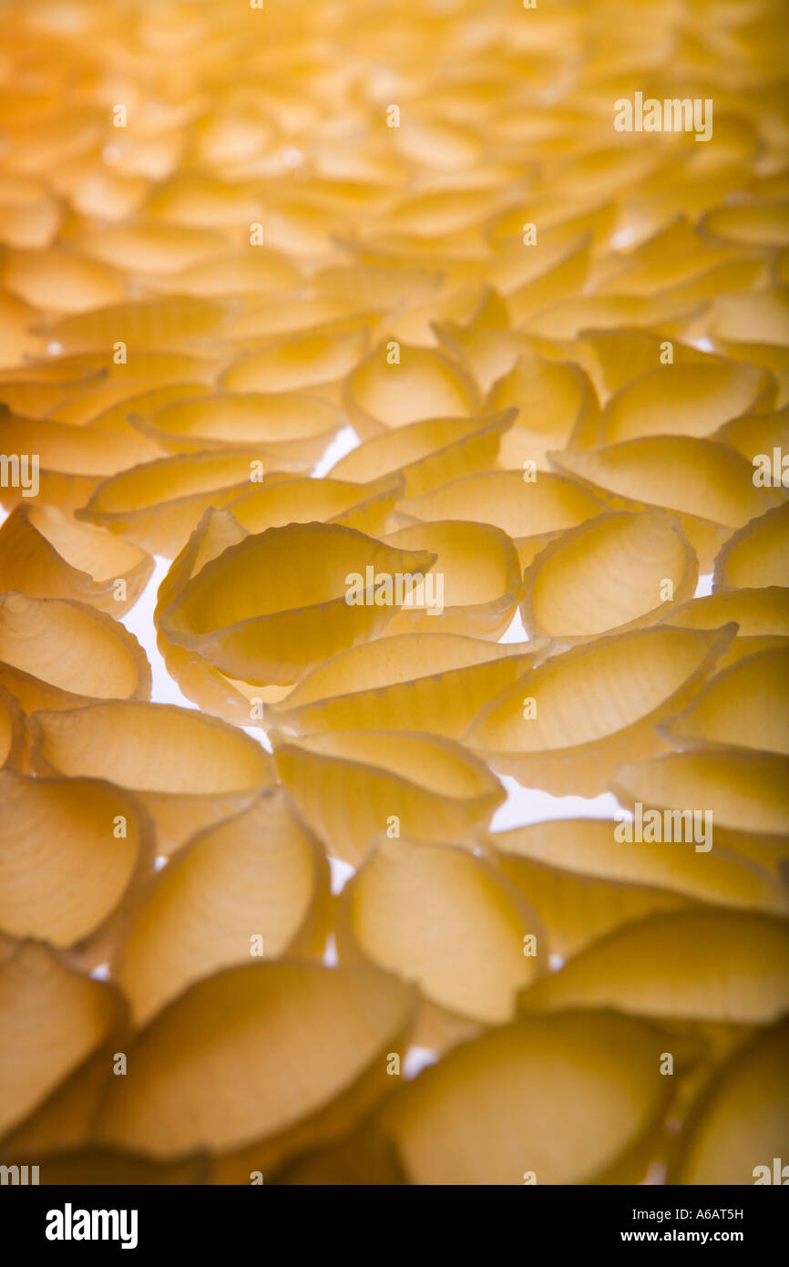 pasta shells, short-cut grooved pasta Stock Photo - Alamy