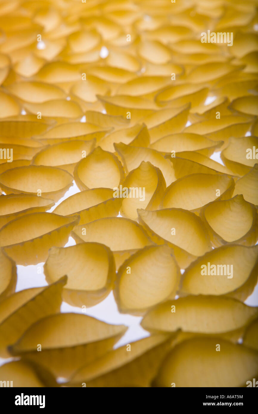 pasta shells, short-cut grooved pasta Stock Photo - Alamy