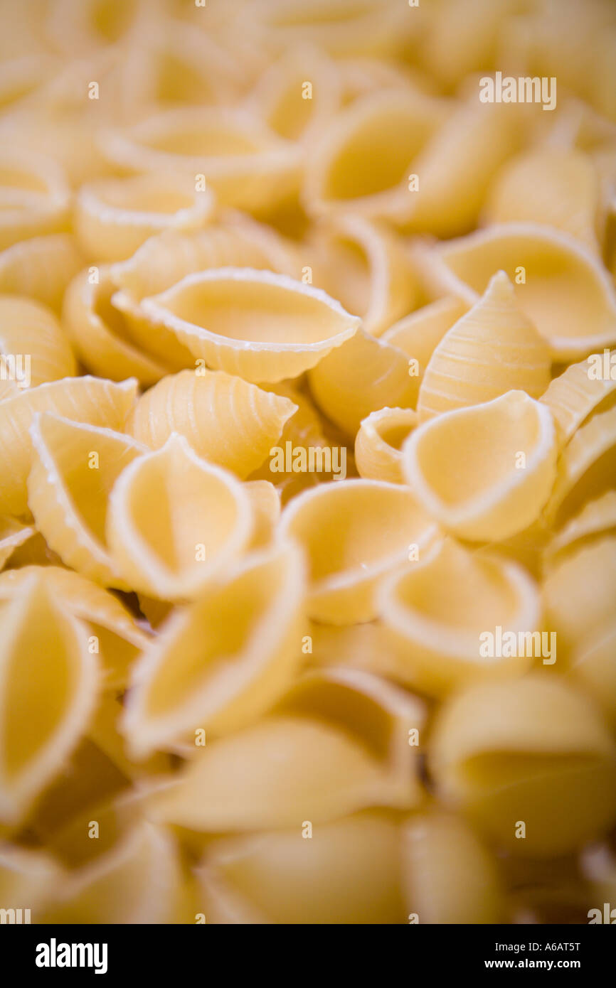 pasta shells, short-cut grooved pasta Stock Photo - Alamy