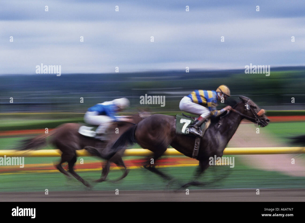 Horse race to finish line, slow shutter speed, panning, motion ...