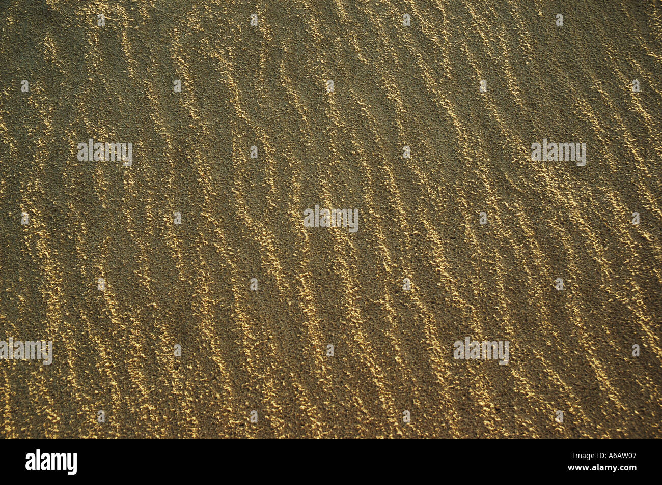 wave marks on beach sand Noosa Queensland Australia dsca 2297 Stock ...