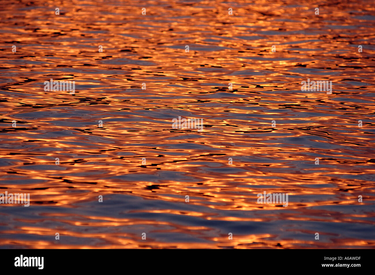 rippled surface of water dsca 1866 Stock Photo - Alamy