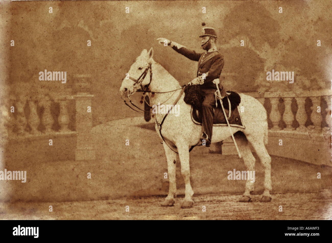 Victorian english army cavalry officer mounted on horse dsca 2002 Stock ...