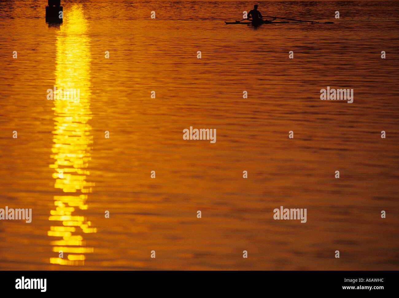 Union Bay silhouetted man rowing at sunrise with oars in water creating ...