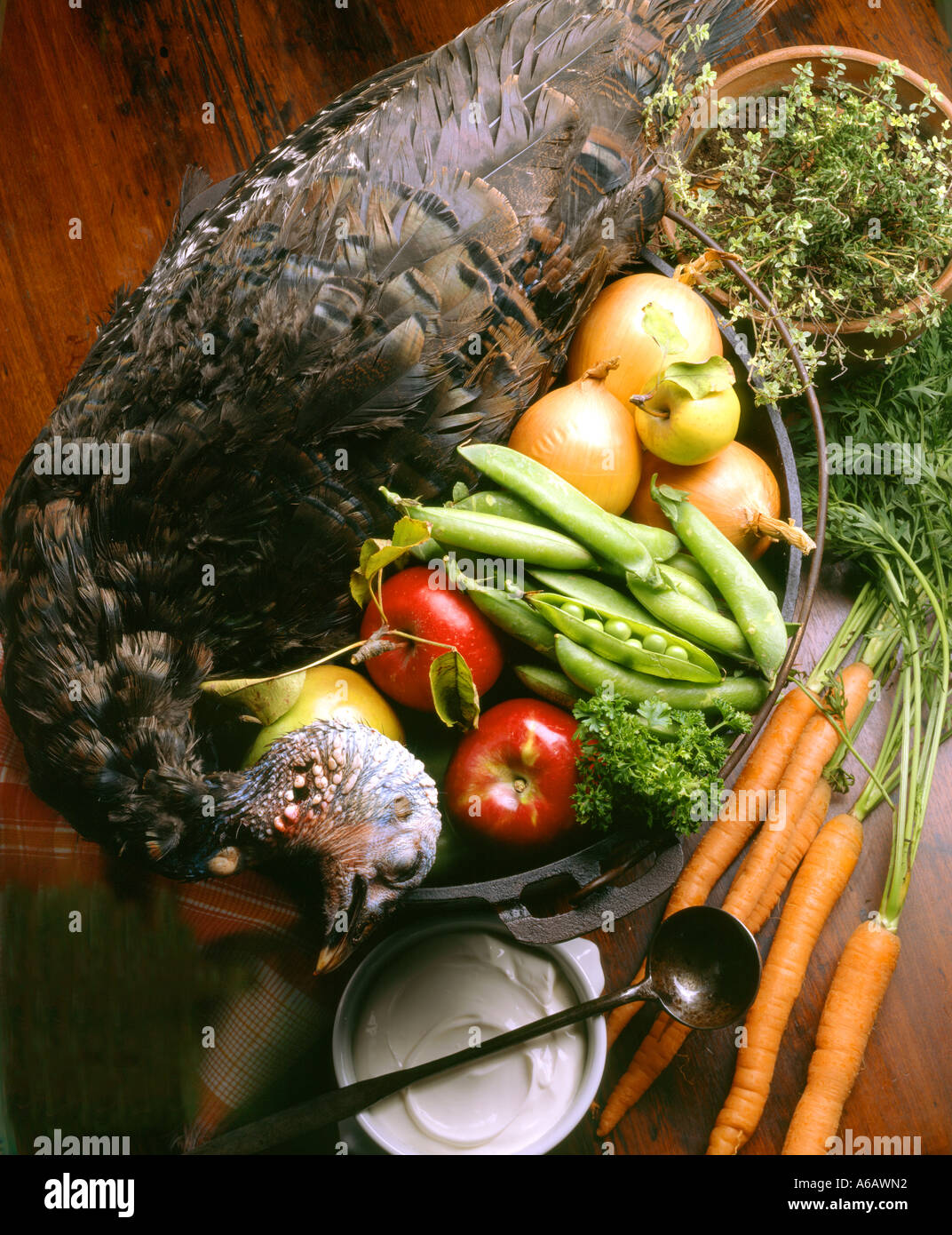 Wild turkey ragout Stock Photo - Alamy