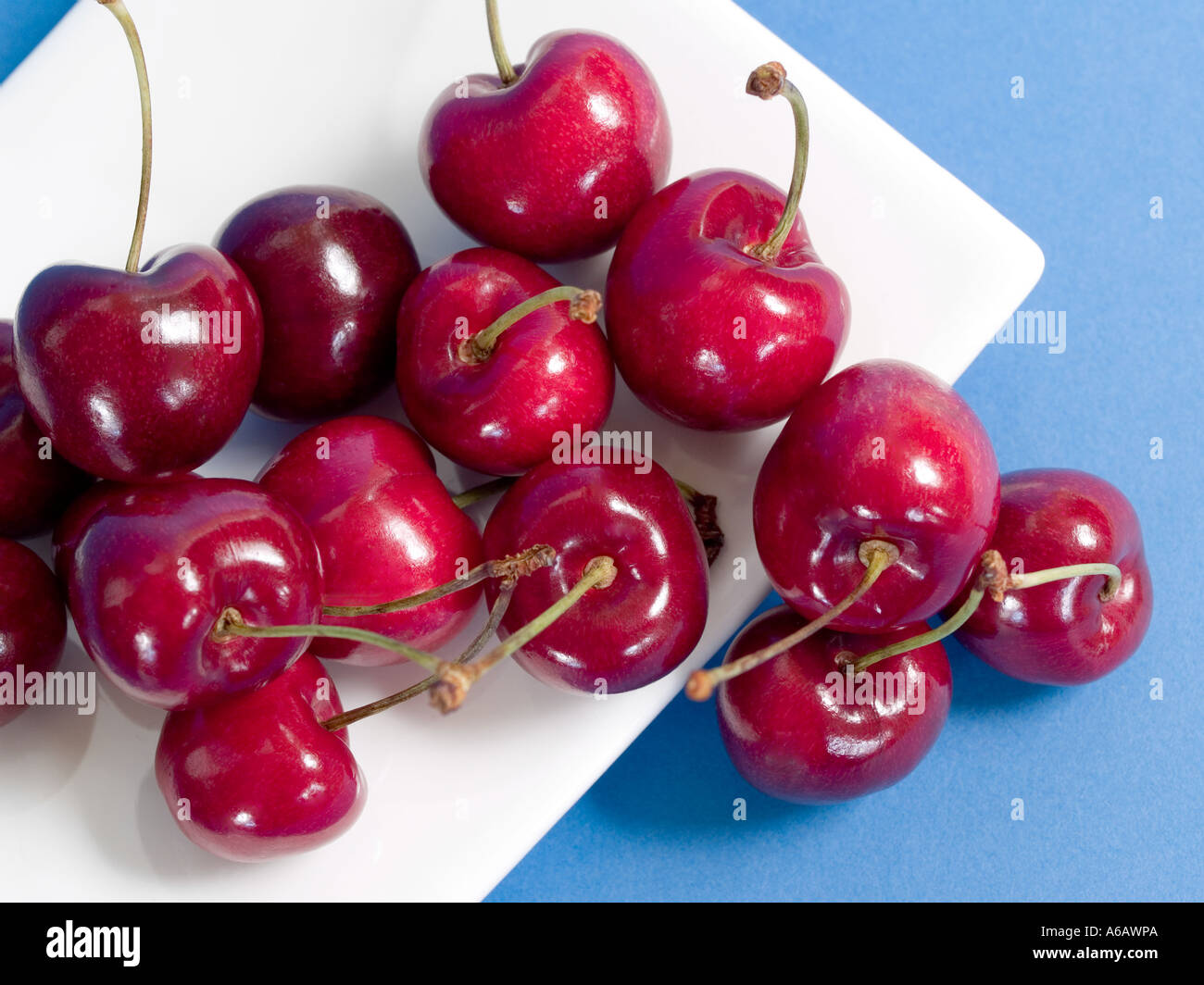 Lots of cherries Prunus avium overflowing from a white platter with ...