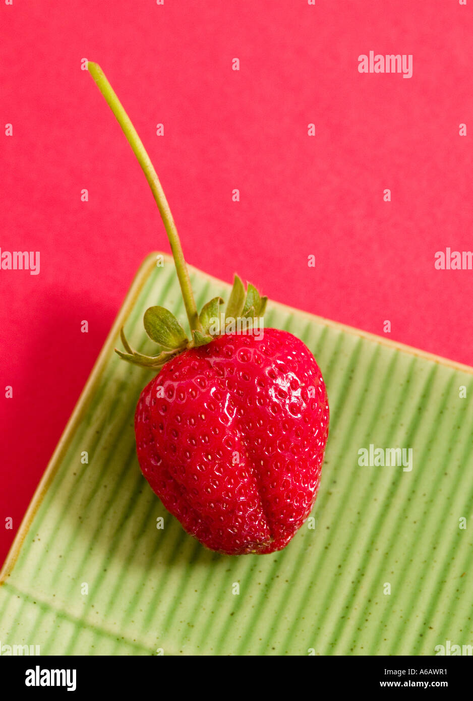 Fragaria rosaceae hi-res stock photography and images - Alamy