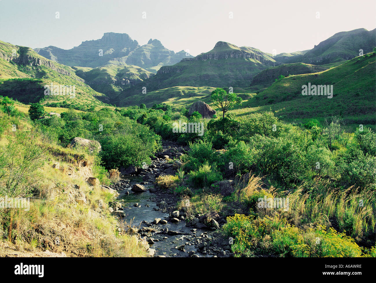 Champagne Castle and a stream high in the Drakensberg Mountains South ...