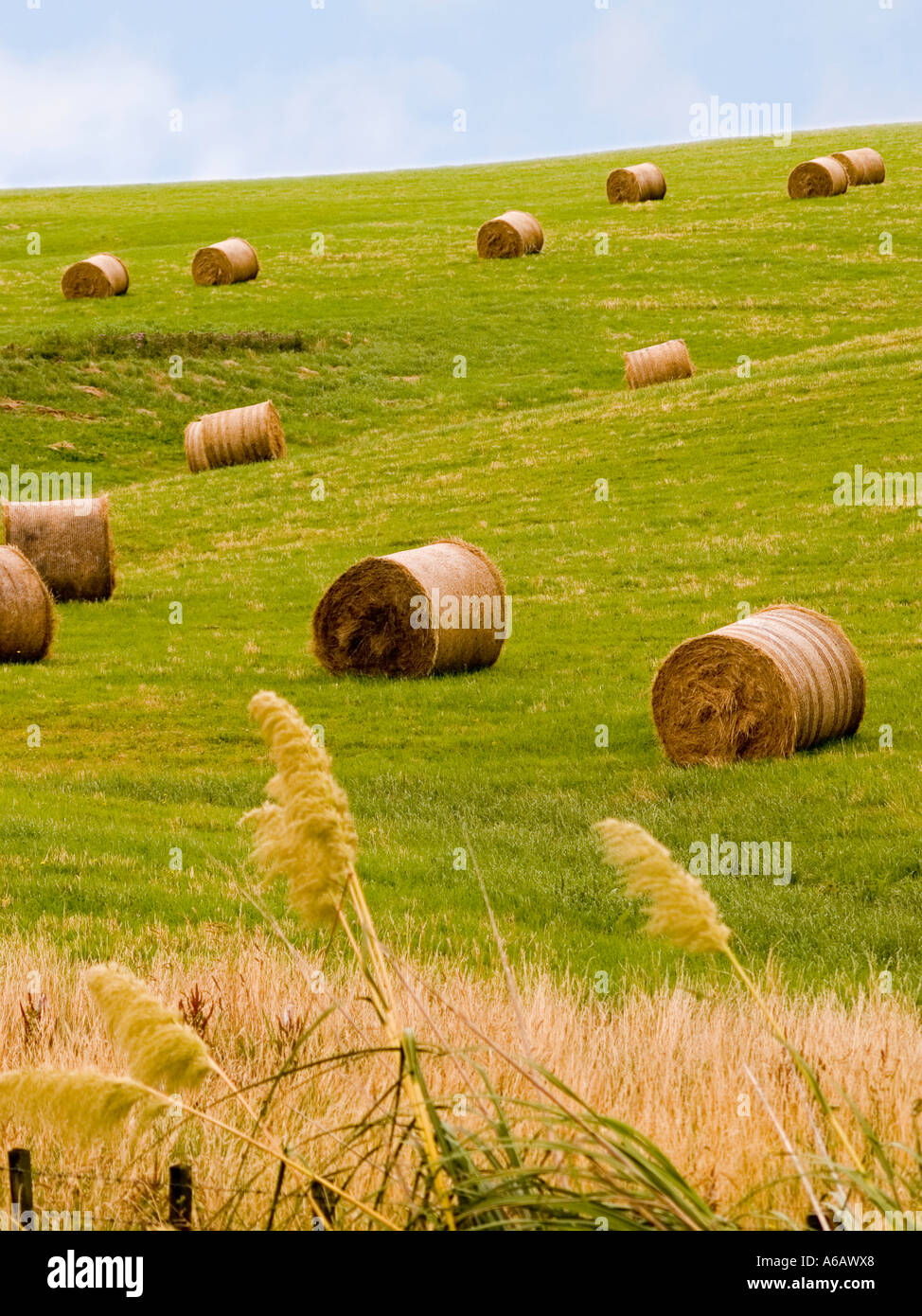 Pereace hi-res stock photography and images - Alamy