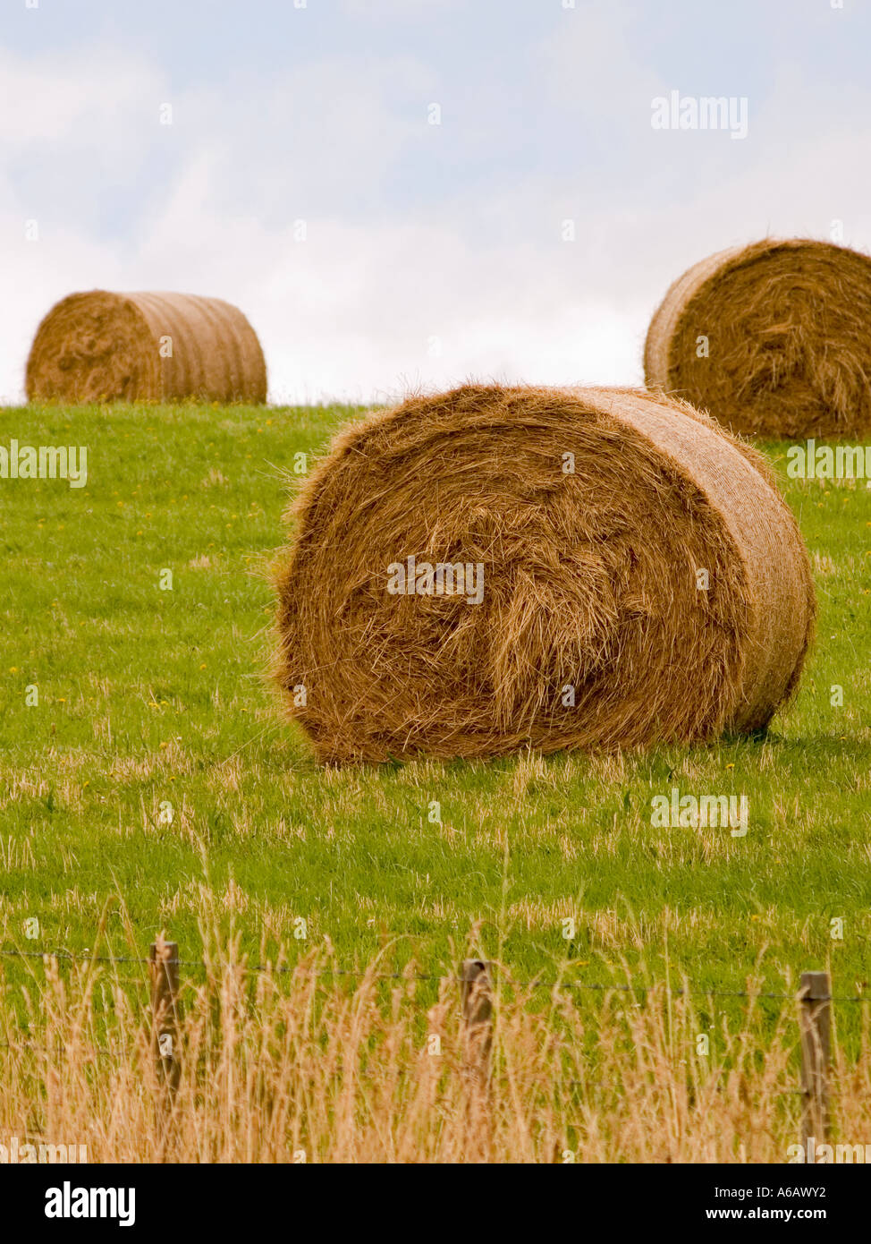 Pereace hi-res stock photography and images - Alamy