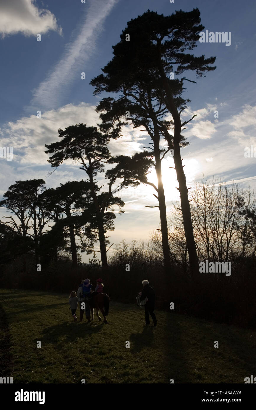Children riding pony at dusk with Scots pine trees Pinus sylvestris ...