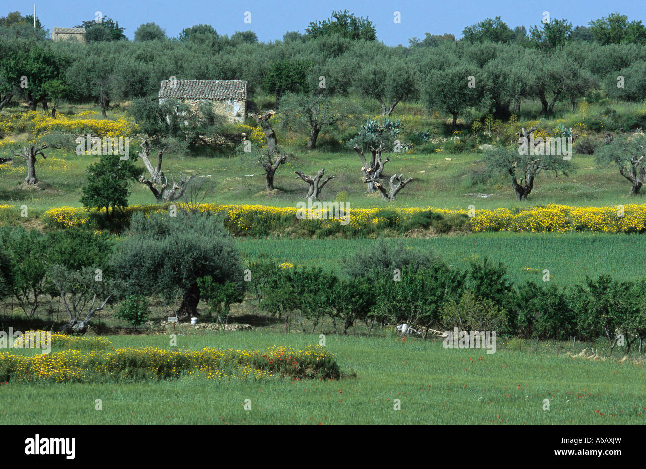 Sicilian Countryside, Italy Stock Photo - Alamy